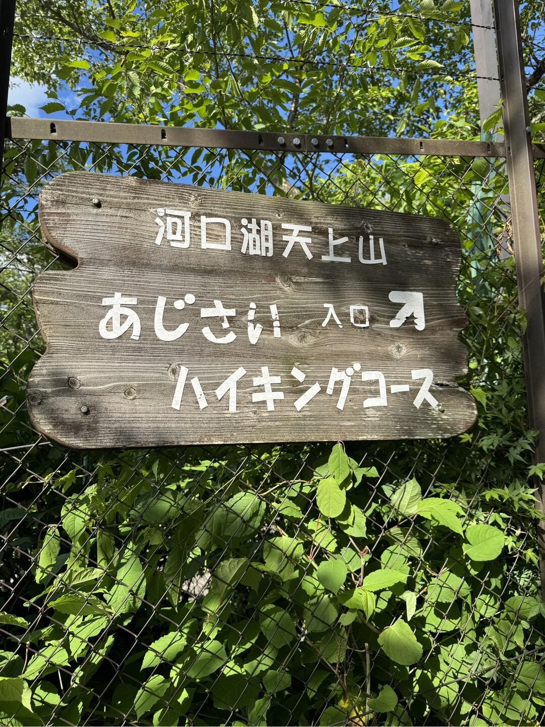 カチカチ山 / Georgeさんの三ッ峠山・本社ヶ丸・鶴ヶ鳥屋山の活動データ | YAMAP / ヤマップ