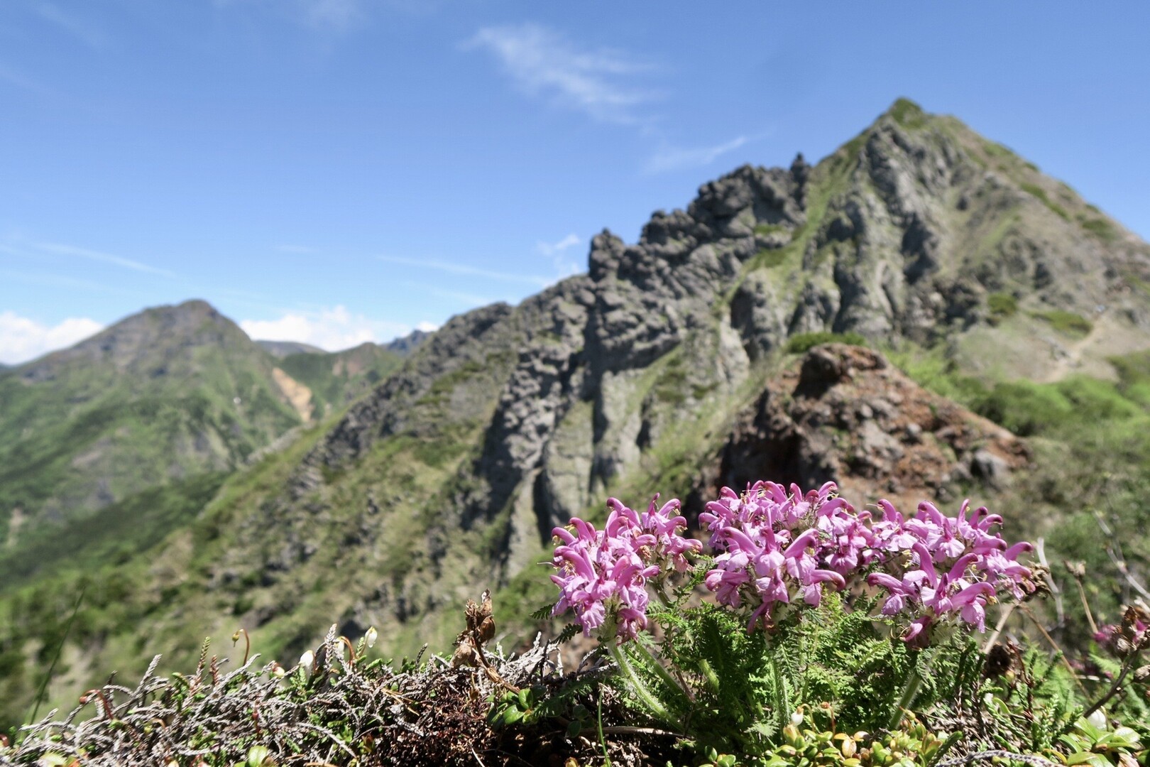 編笠山・ギボシ・権現岳・三ツ頭周回 / Yosshyさんの八ヶ岳（赤岳・硫黄岳・天狗岳）の活動データ | YAMAP / ヤマップ