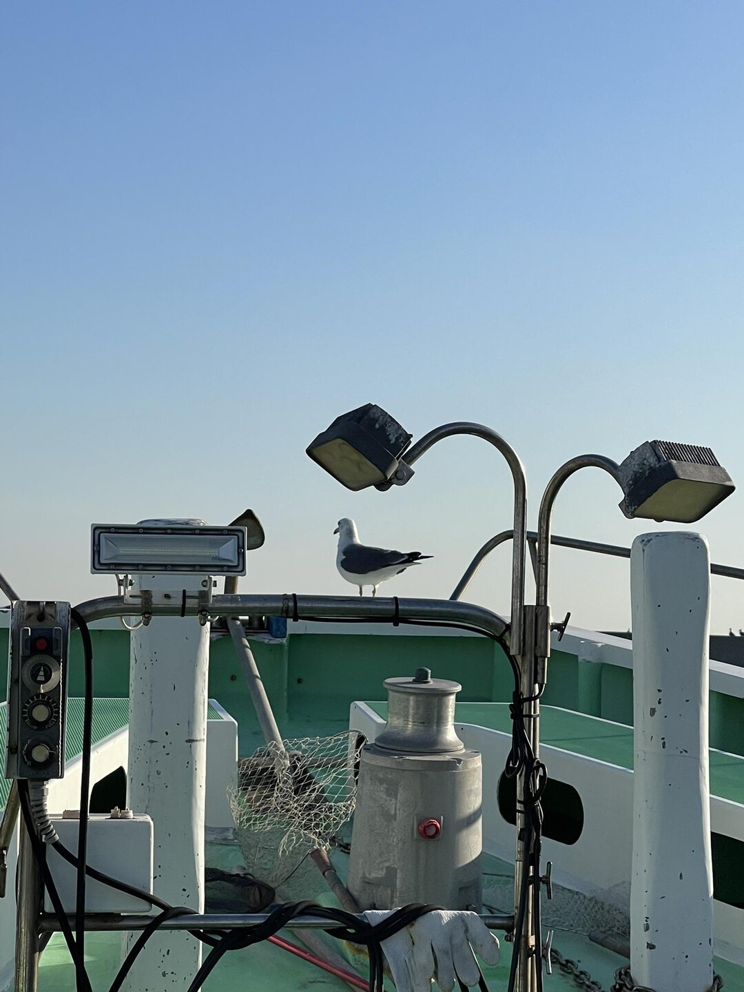 10/14(土)定年退職された先輩と横須... / おにょさんのモーメント | YAMAP / ヤマップ