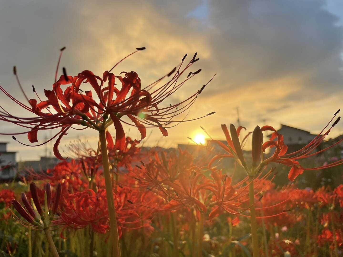 すっかり生活リズムが変わっちゃったけど ... / TETSUOさんのモーメント | YAMAP / ヤマップ