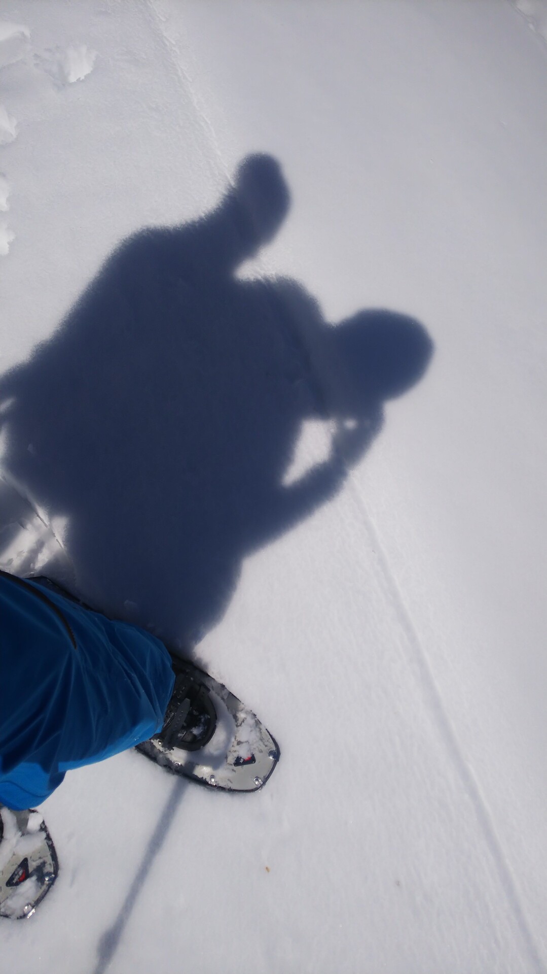 池の平アルペンブリックスキー場トップより！ / ma_suさんのウォーキングの活動データ | YAMAP / ヤマップ