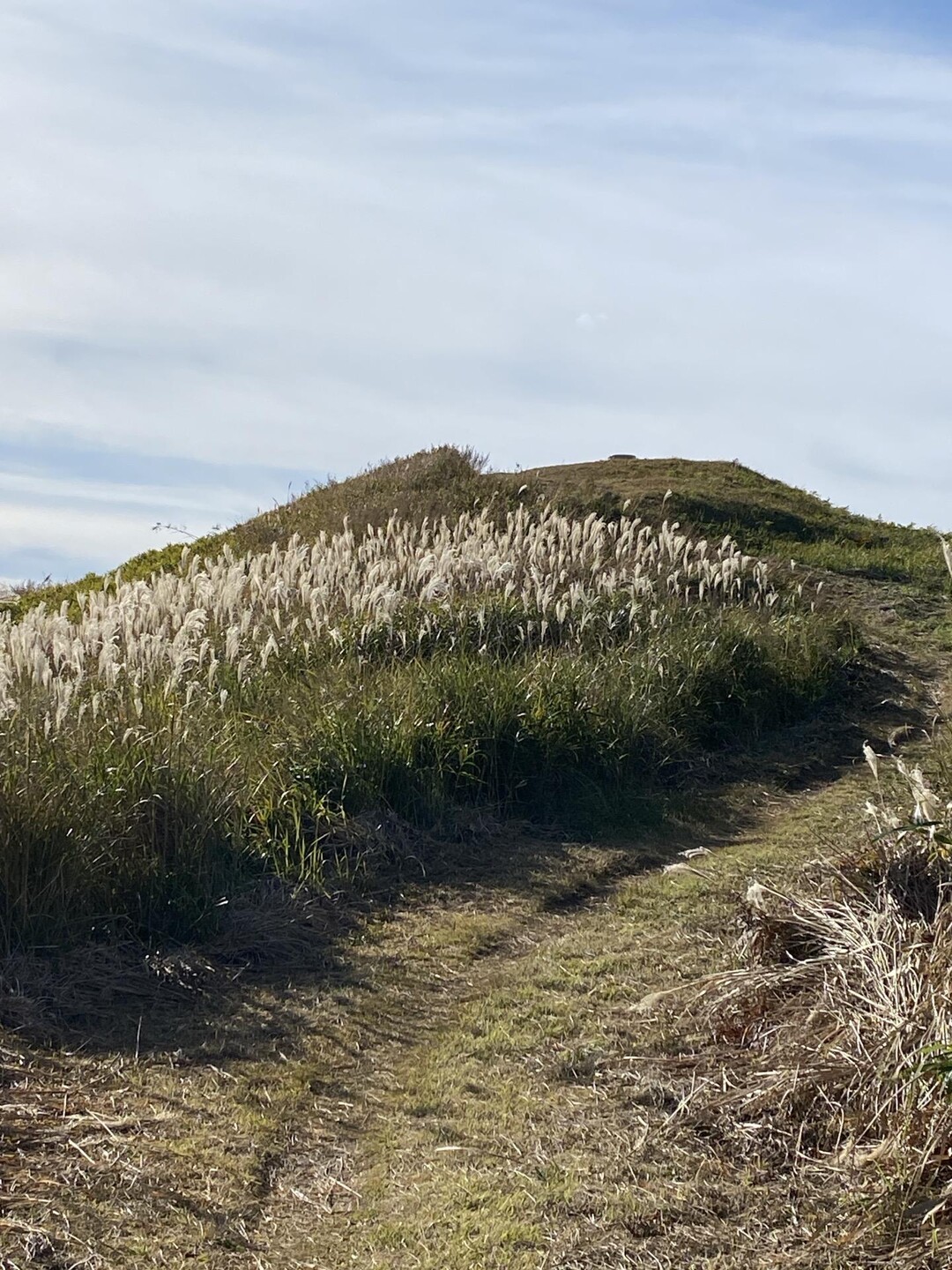 基山東峰・なめり山・北峰（北帝）・基山 / em1209さんの天拝山・基山の活動データ | YAMAP / ヤマップ