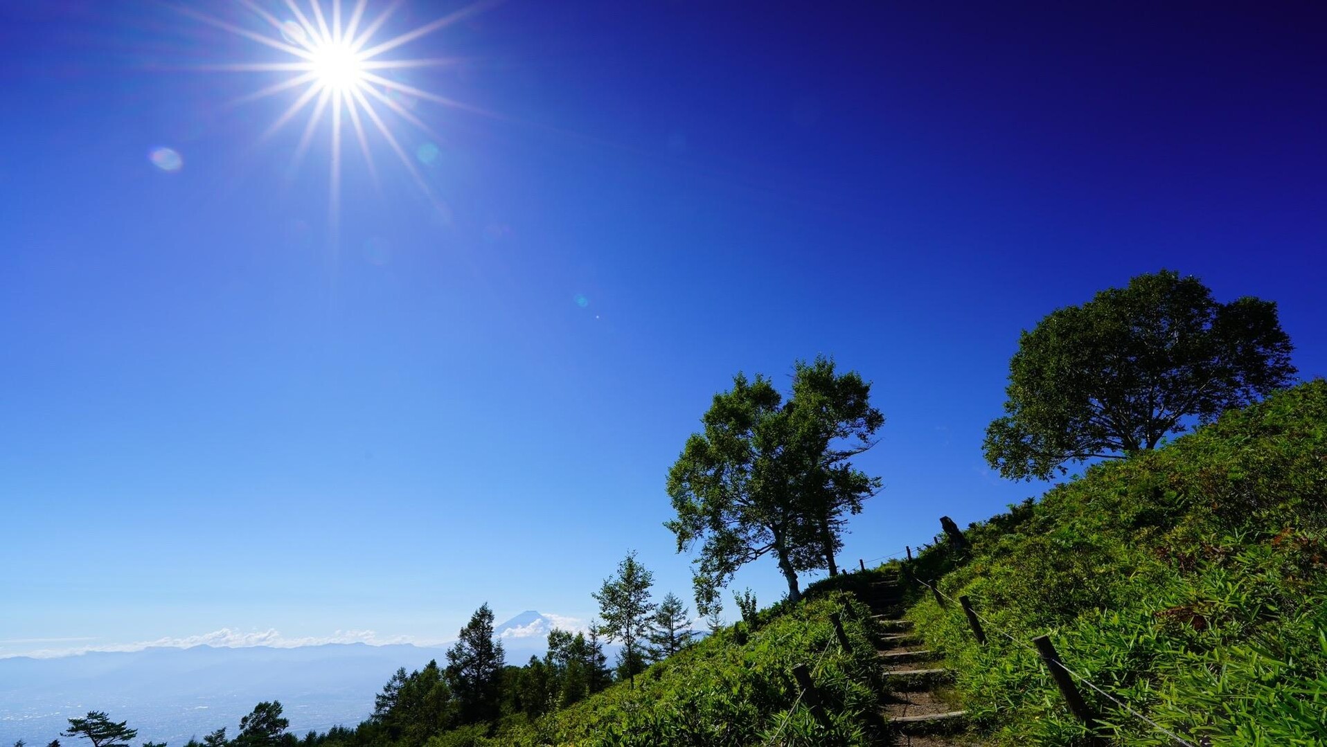 甘利山・奥甘利山 / uchidamaさんの鳳凰山・地蔵岳・観音岳・薬師岳の活動データ | YAMAP / ヤマップ