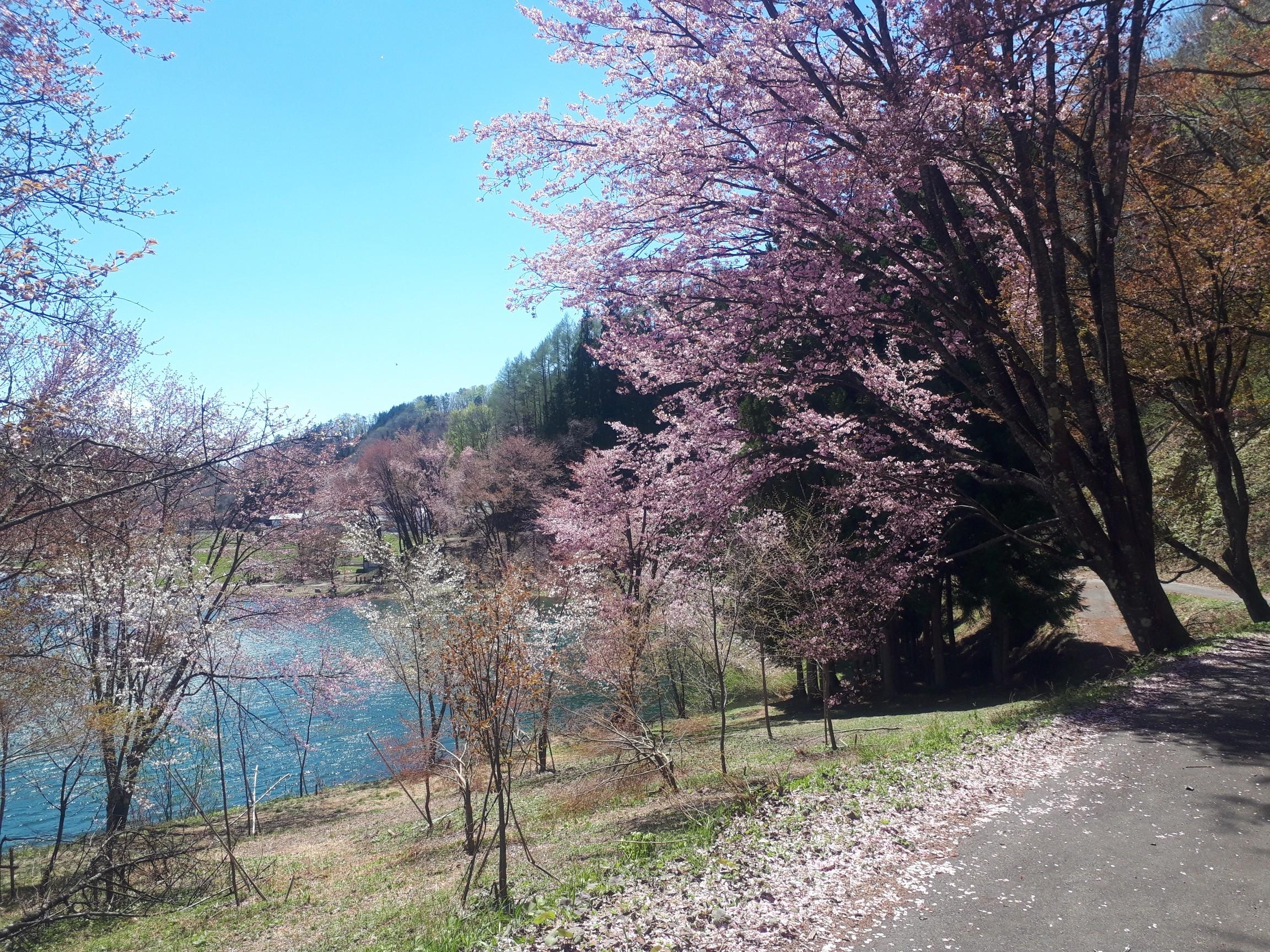 太郎山 / James Van Lieuさんの大峰高原・鷹狩山の活動データ | YAMAP / ヤマップ