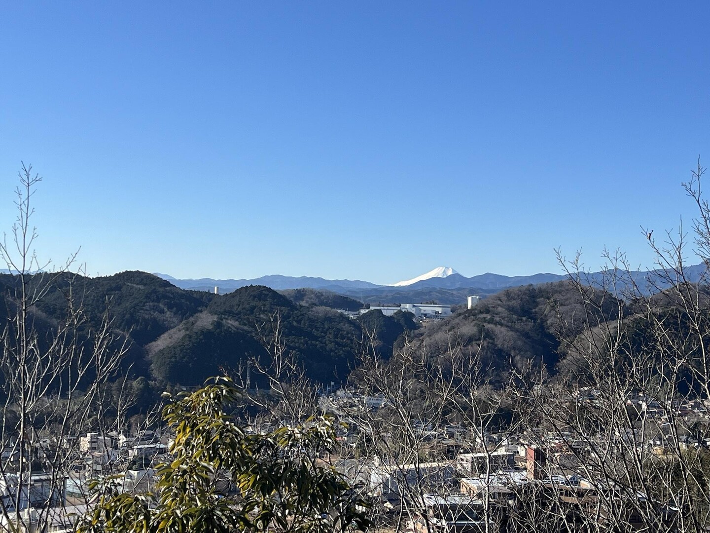 天覧山・神久山・太郎坊・多峯主山 / Holovitzさんのヤマノススメ巡礼マップ（天覚山・大高山・子の権現）の活動データ | YAMAP / ヤマップ