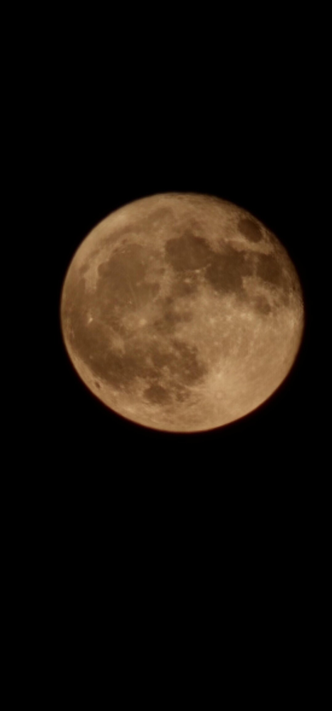 Sturgeon Moon🌕️ 本当に... / まなちゃんさんのモーメント | YAMAP / ヤマップ