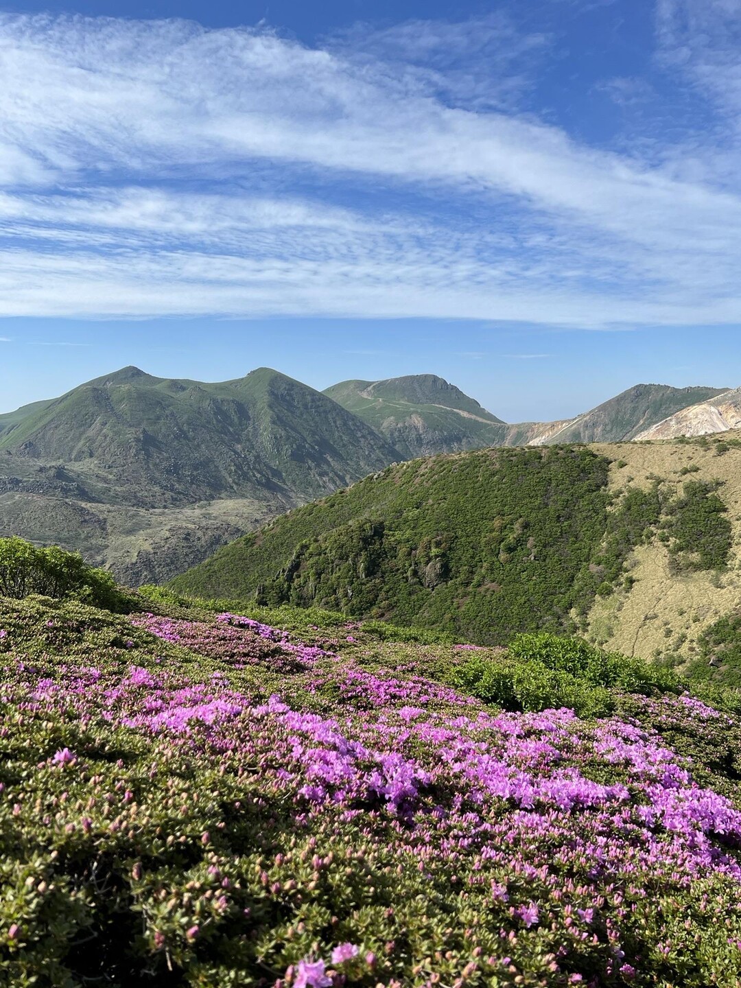 1DAYくじゅう17サミッツ / hideさんのウォーキングの活動データ | YAMAP / ヤマップ
