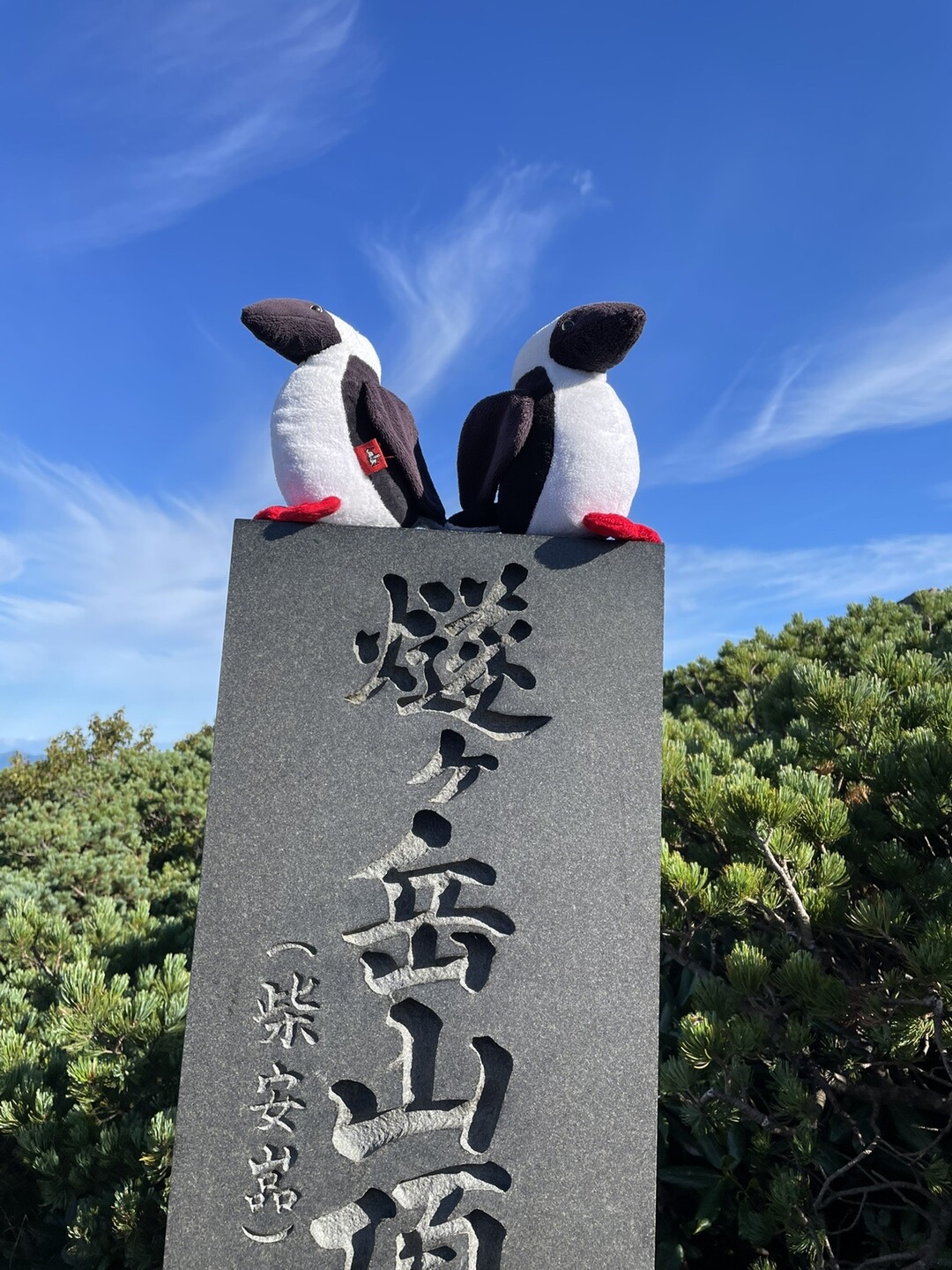 燧ヶ岳 / synさんの尾瀬・燧ヶ岳の活動データ | YAMAP / ヤマップ