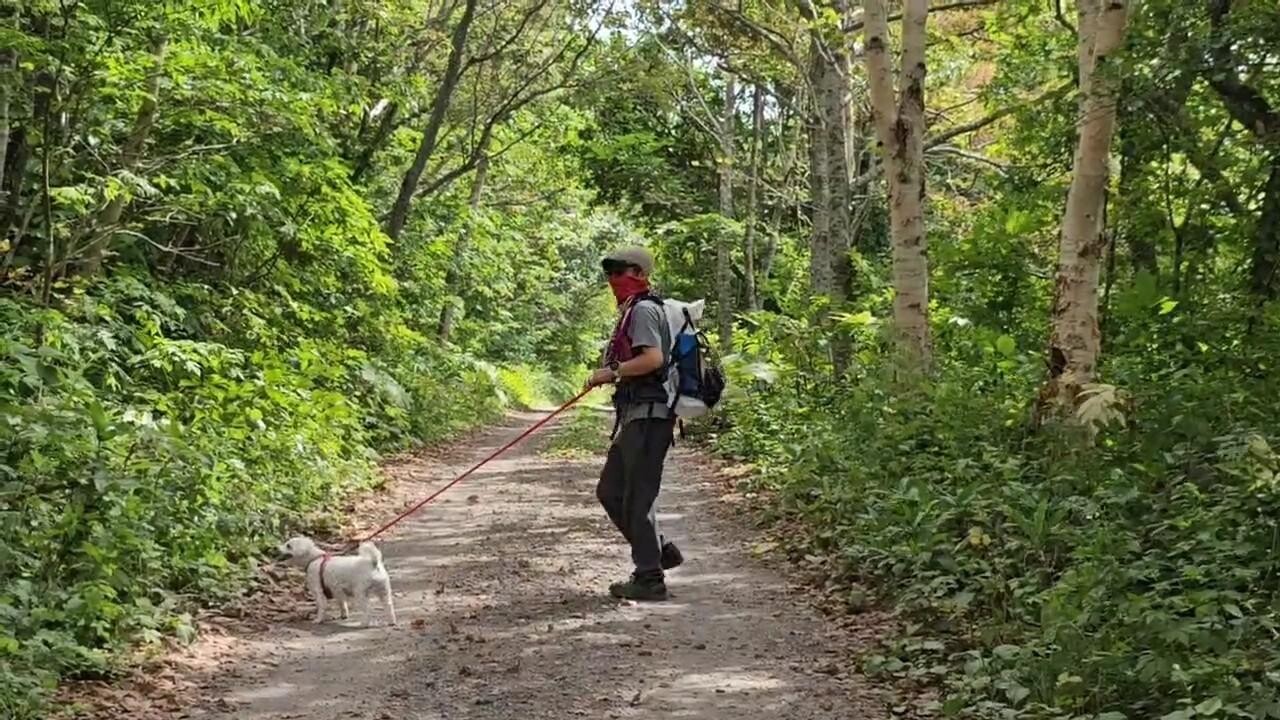 HIROのページ | YAMAP / ヤマップ