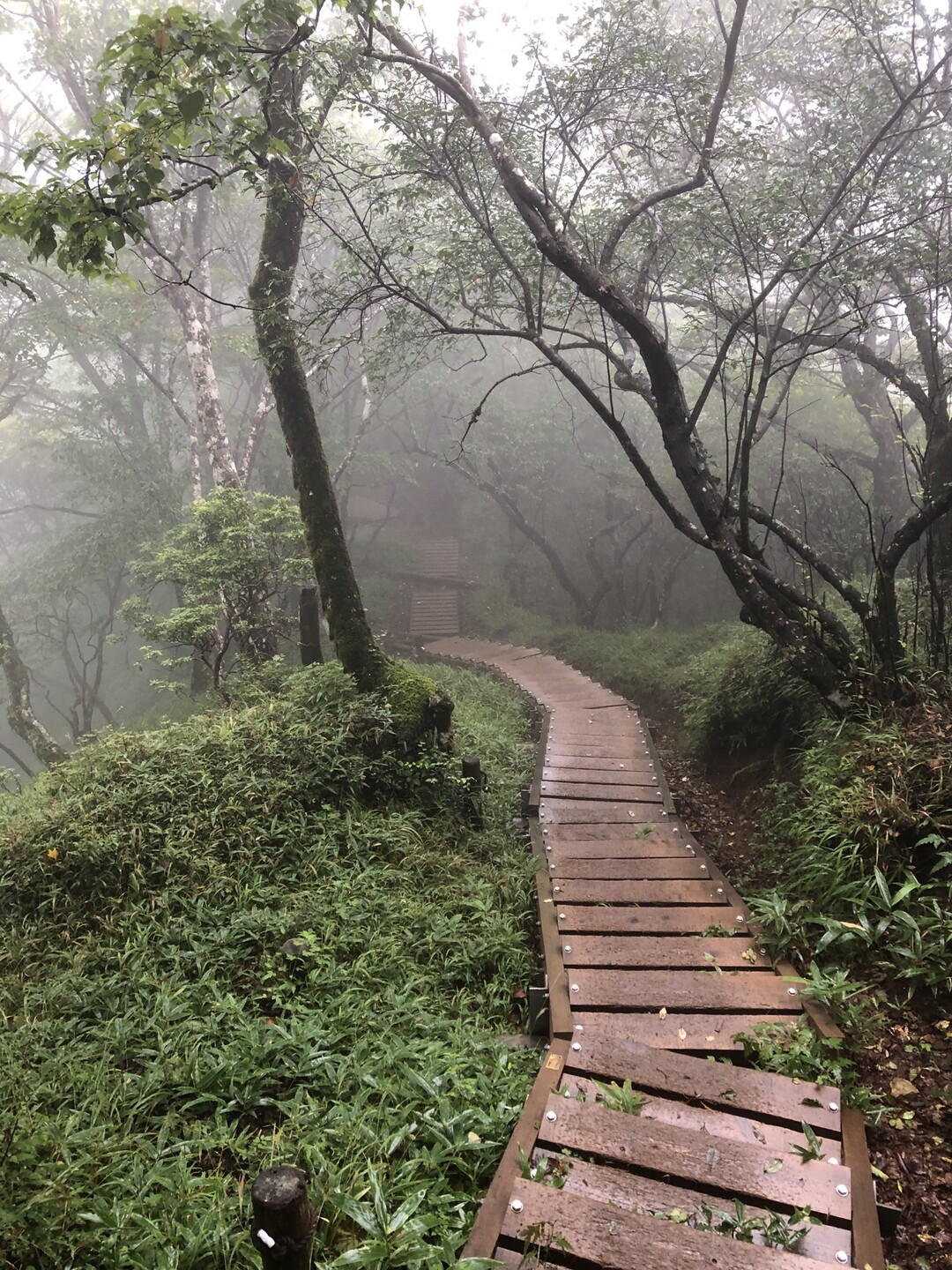 霧の丹沢(塔ノ岳・丹沢山・鍋割山) / yuu_oさんの塔ノ岳・丹沢山・蛭ヶ岳の活動データ | YAMAP / ヤマップ