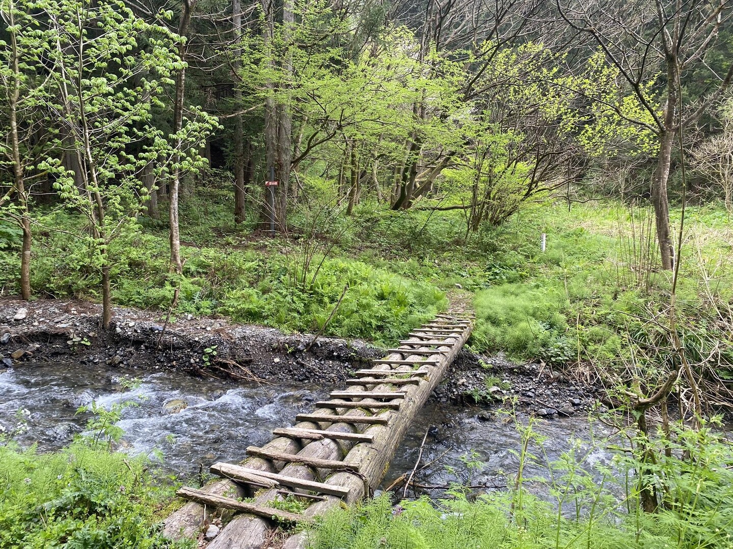 大蔵山〜三五郎山〜菅名岳 周回 / mtakoさんの菅名岳・大蔵山・鳴沢峰の活動データ | YAMAP / ヤマップ