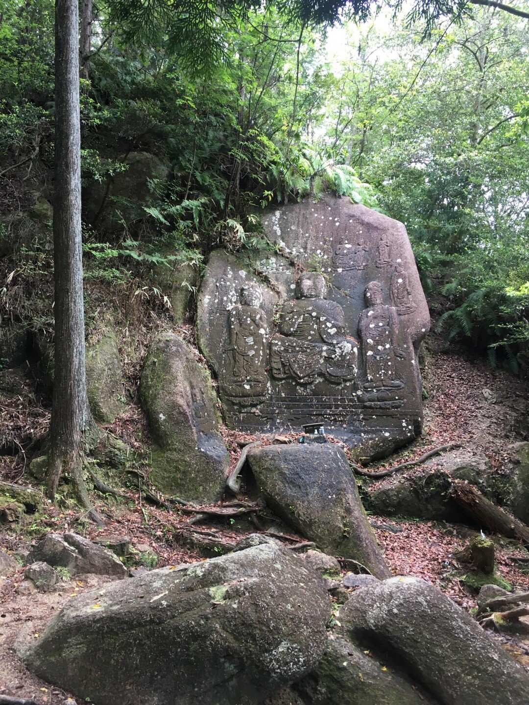子鶏冠山・鶏冠山・天狗岩・竜王山 / kanameさんの金勝アルプス（鶏冠山・竜王山）の活動データ | YAMAP / ヤマップ