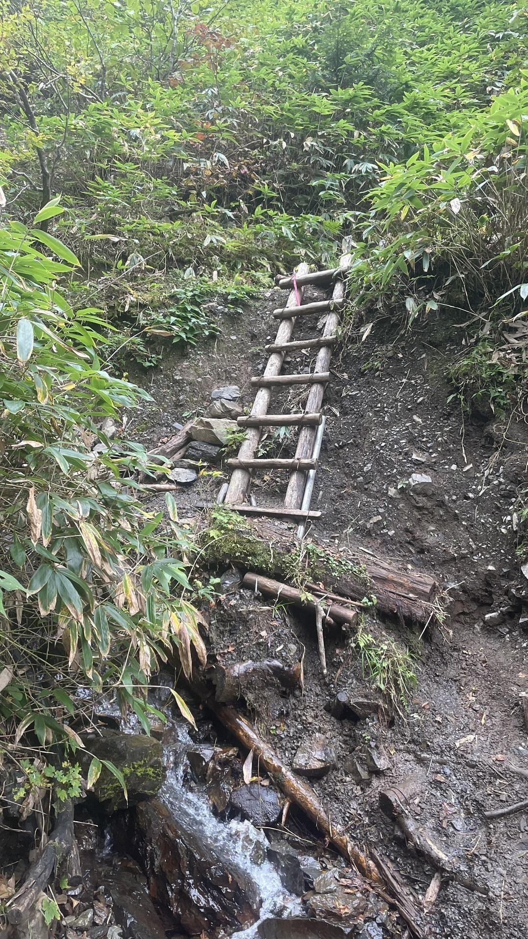 shiryoさんの投稿したフィールドメモ | YAMAP / ヤマップ