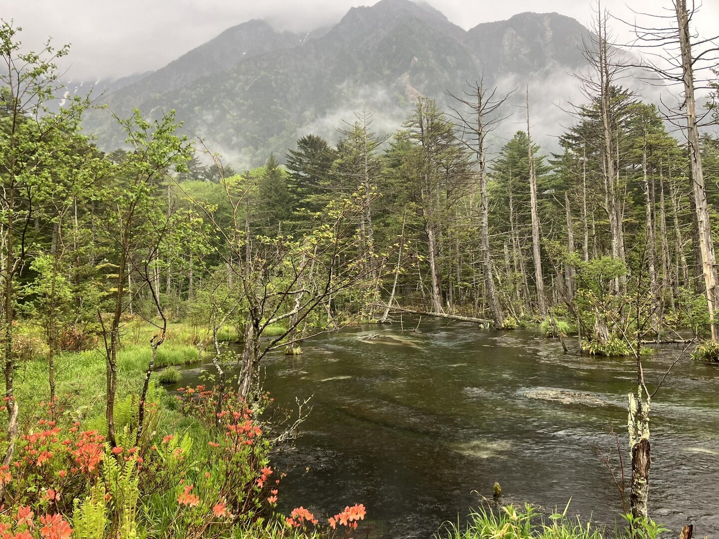 上高地 ウェストン祭-2024-06-02 / J Smileさんの槍ヶ岳・穂高岳・上高地の活動データ | YAMAP / ヤマップ