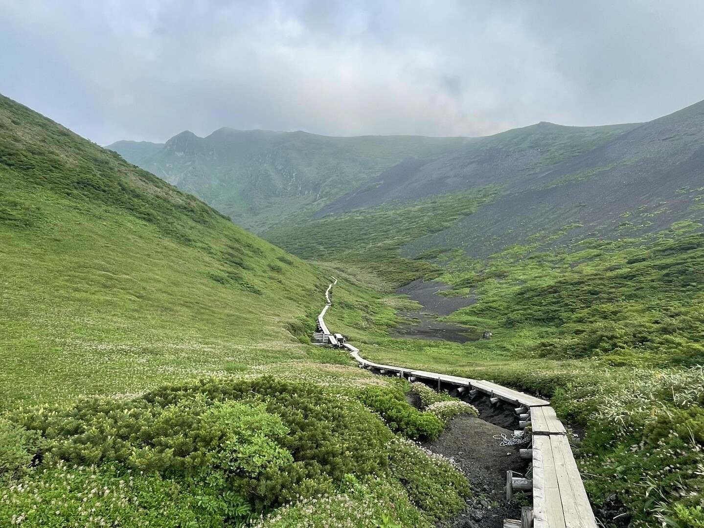 R6.7.15秋田駒ヶ岳(男女岳・横岳) / ハルキさんの秋田駒ヶ岳・男女岳・貝吹岳の活動データ | YAMAP / ヤマップ