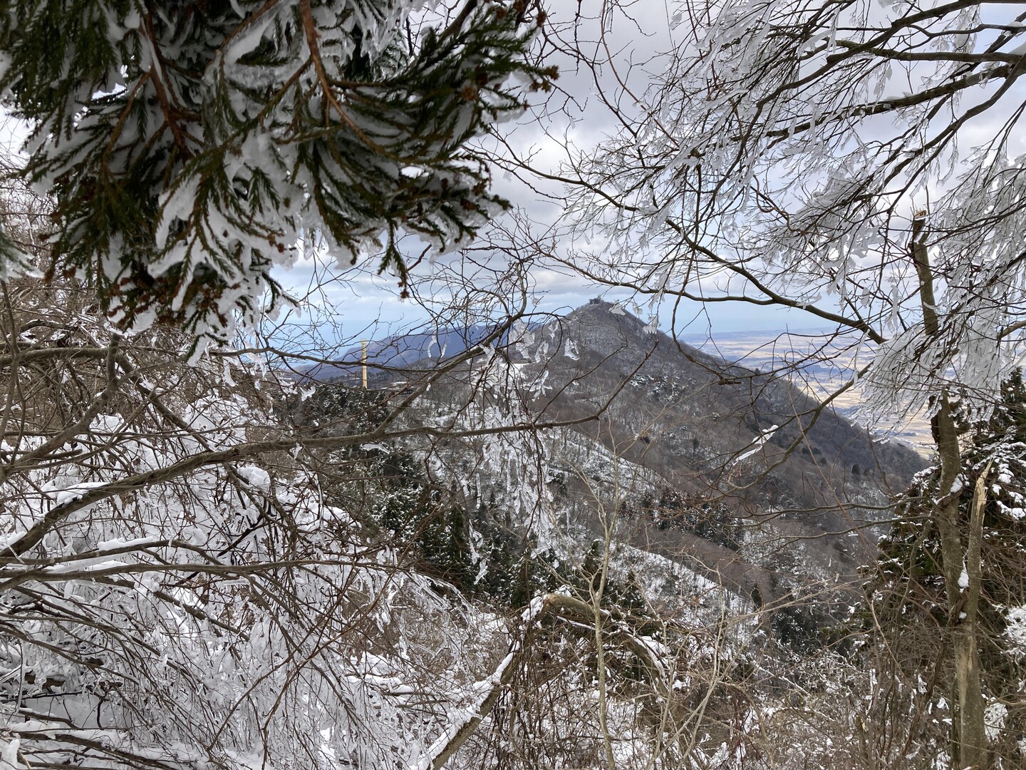 八枚沢周回 / hi-chanさんの弥彦山・多宝山・雨乞山の活動日記 | YAMAP / ヤマップ