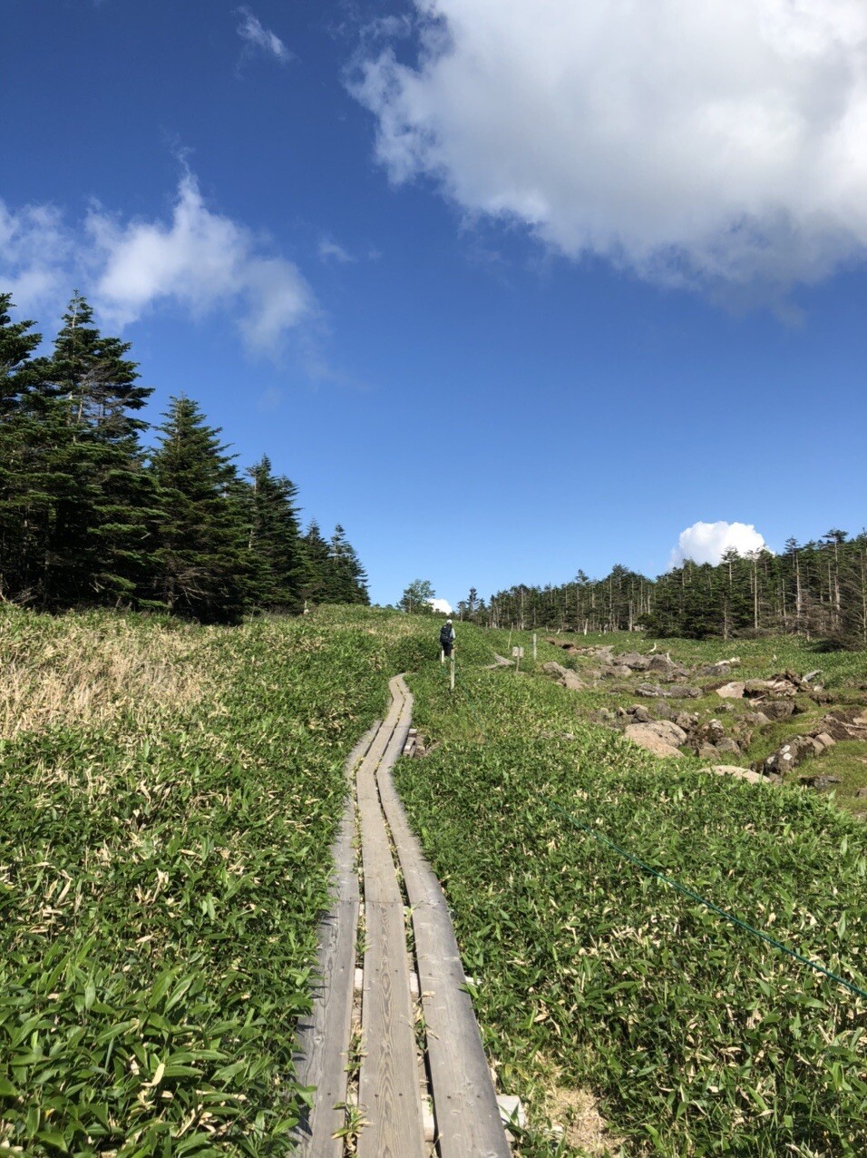 北横岳（南峰） / acco.shibaさんの蓼科山・横岳・縞枯山の活動日記 | YAMAP / ヤマップ