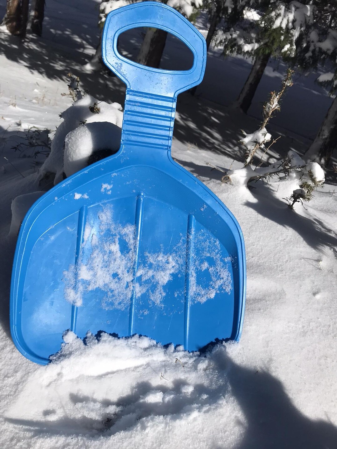 本宮山でヒップソリ / m o r iさんの本宮山・大日山・風頭山の活動データ | YAMAP / ヤマップ