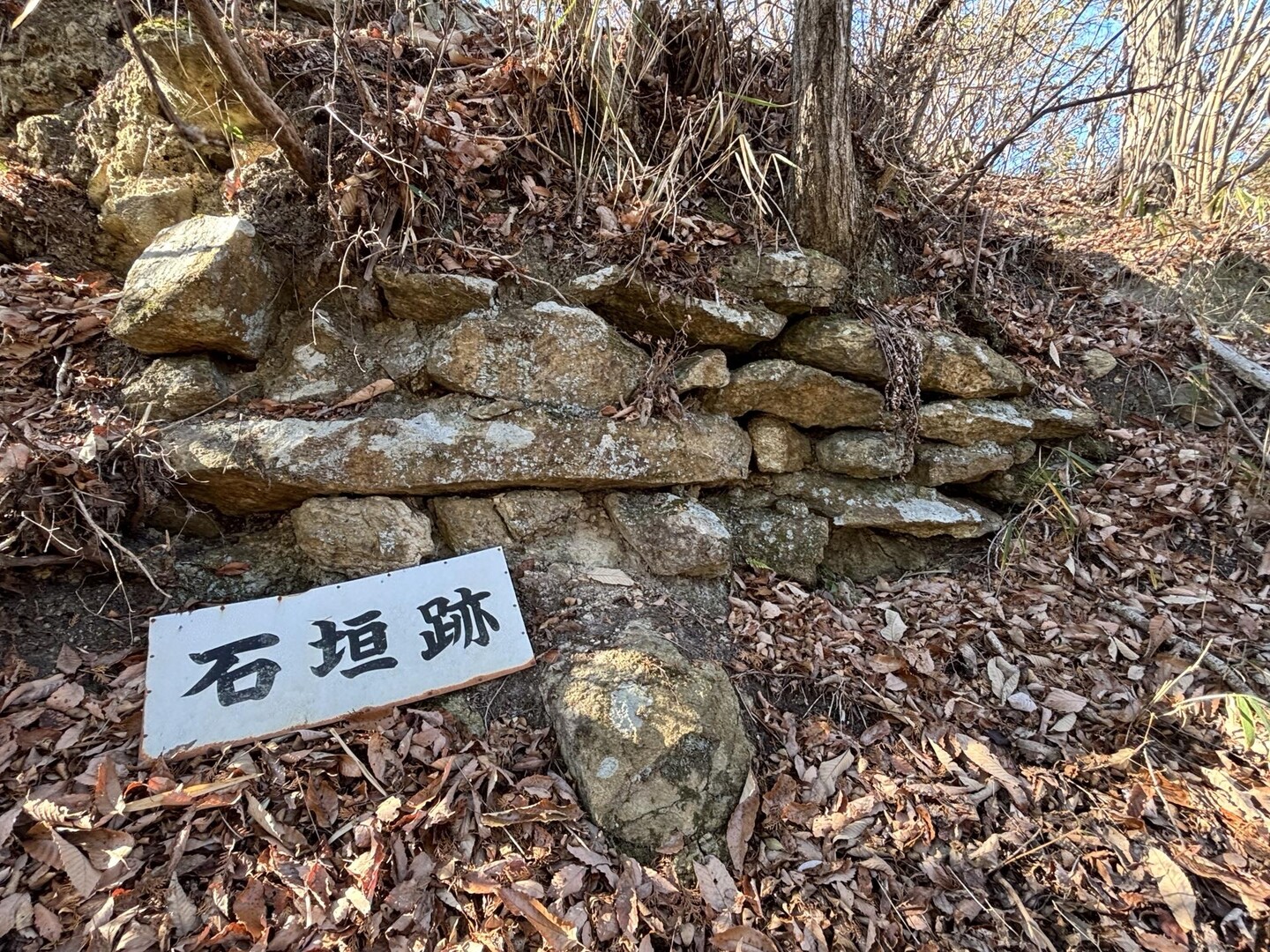 鳴尾山城（2025-01-18） / saku sakuさんの登山の活動データ | YAMAP / ヤマップ