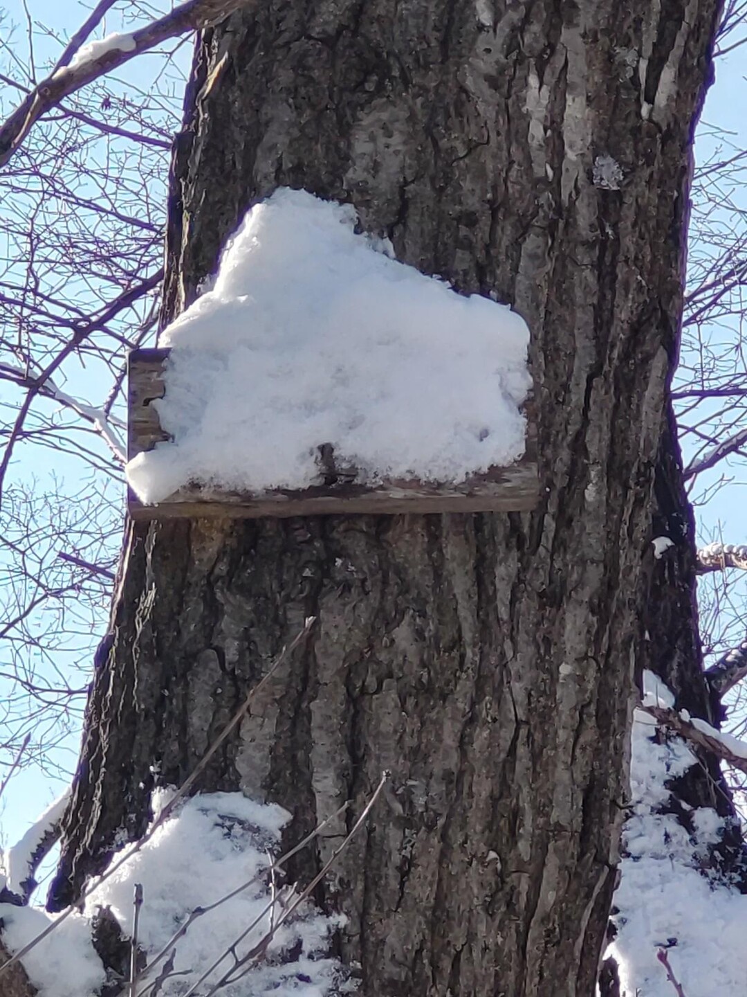 浅間山〜諏訪岳 / Rioさんの太平山・晃石山・唐沢山の活動データ | YAMAP / ヤマップ