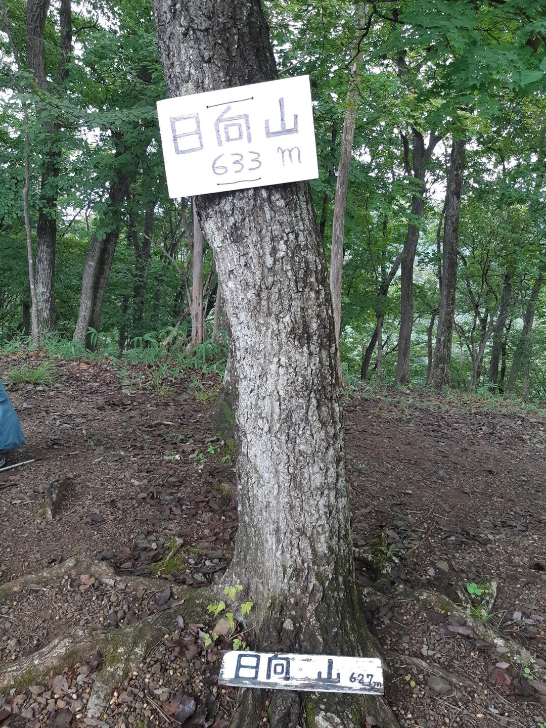 日向山 20240929 / bbshipxk2023さんの丸山・日向山の活動データ | YAMAP / ヤマップ