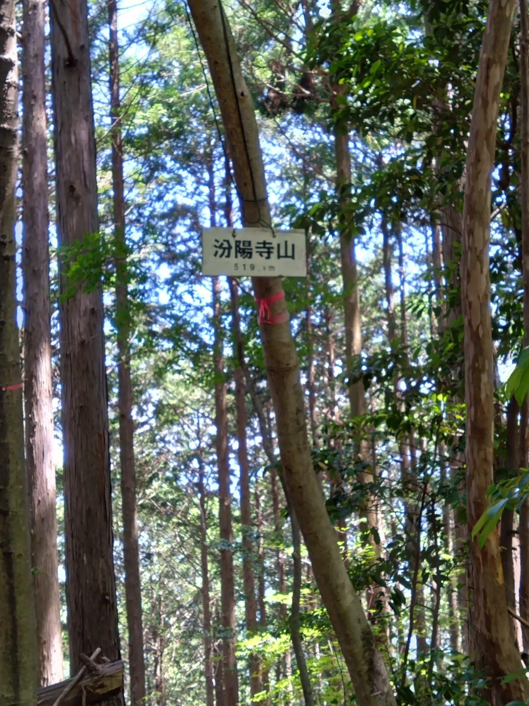 汾陽寺山 / macharuさんの汾陽寺山・権現山・柳島山の活動データ | YAMAP / ヤマップ