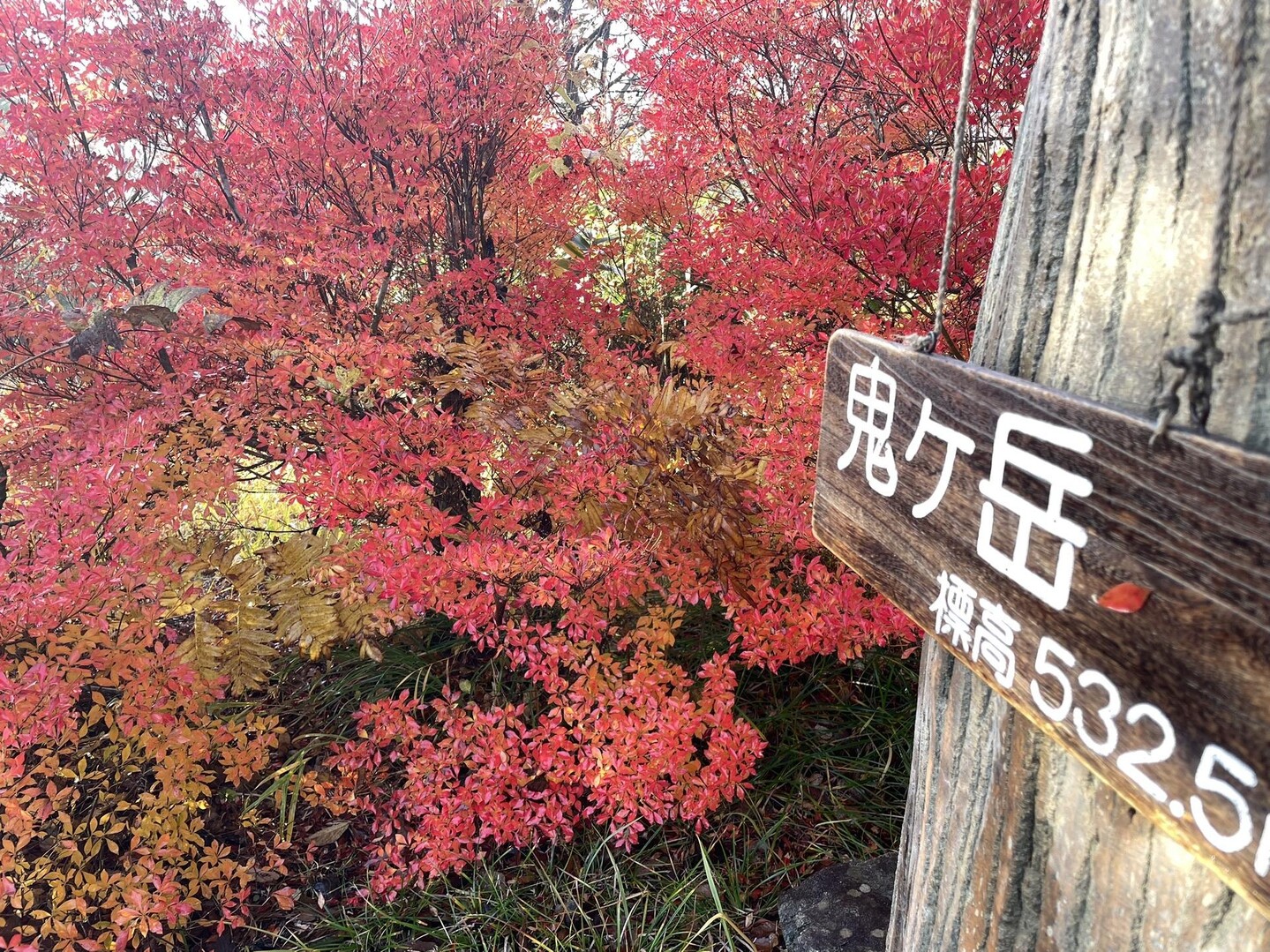 鬼ヶ岳👹🍁 / Mikarinさんの鬼ヶ岳の活動データ | YAMAP / ヤマップ