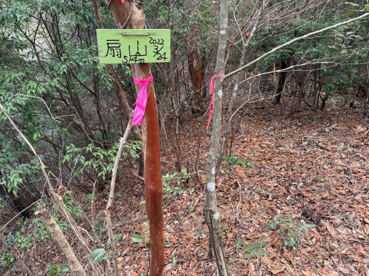 長門① 扇山 / koma_xさんの桂木山の活動データ | YAMAP / ヤマップ