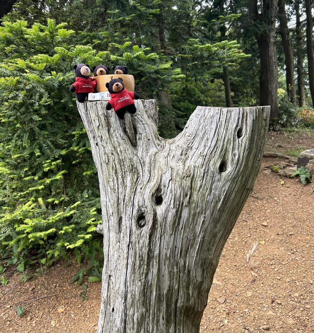 のんびり樅木山へ((´∀`*)) / datinさんの樅木山・白石山の活動データ | YAMAP / ヤマップ