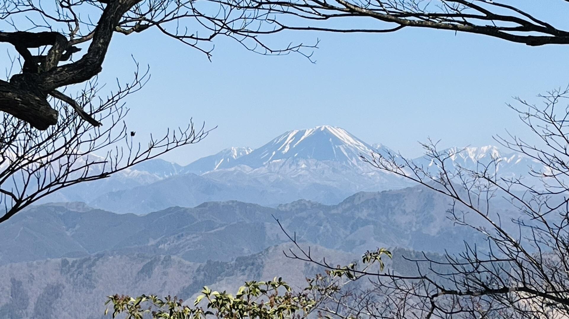 行者山・根本山 / isoさんの根本山・熊鷹山・氷室山の活動日記 | YAMAP / ヤマップ