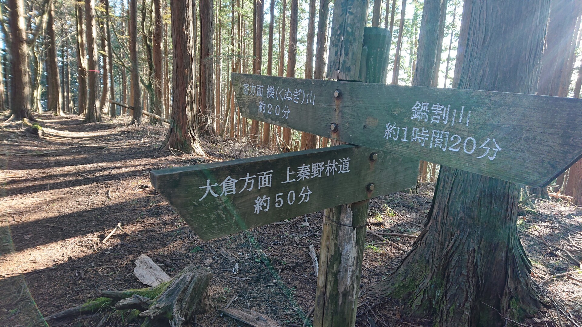 accoさんの投稿したフィールドメモ | YAMAP / ヤマップ