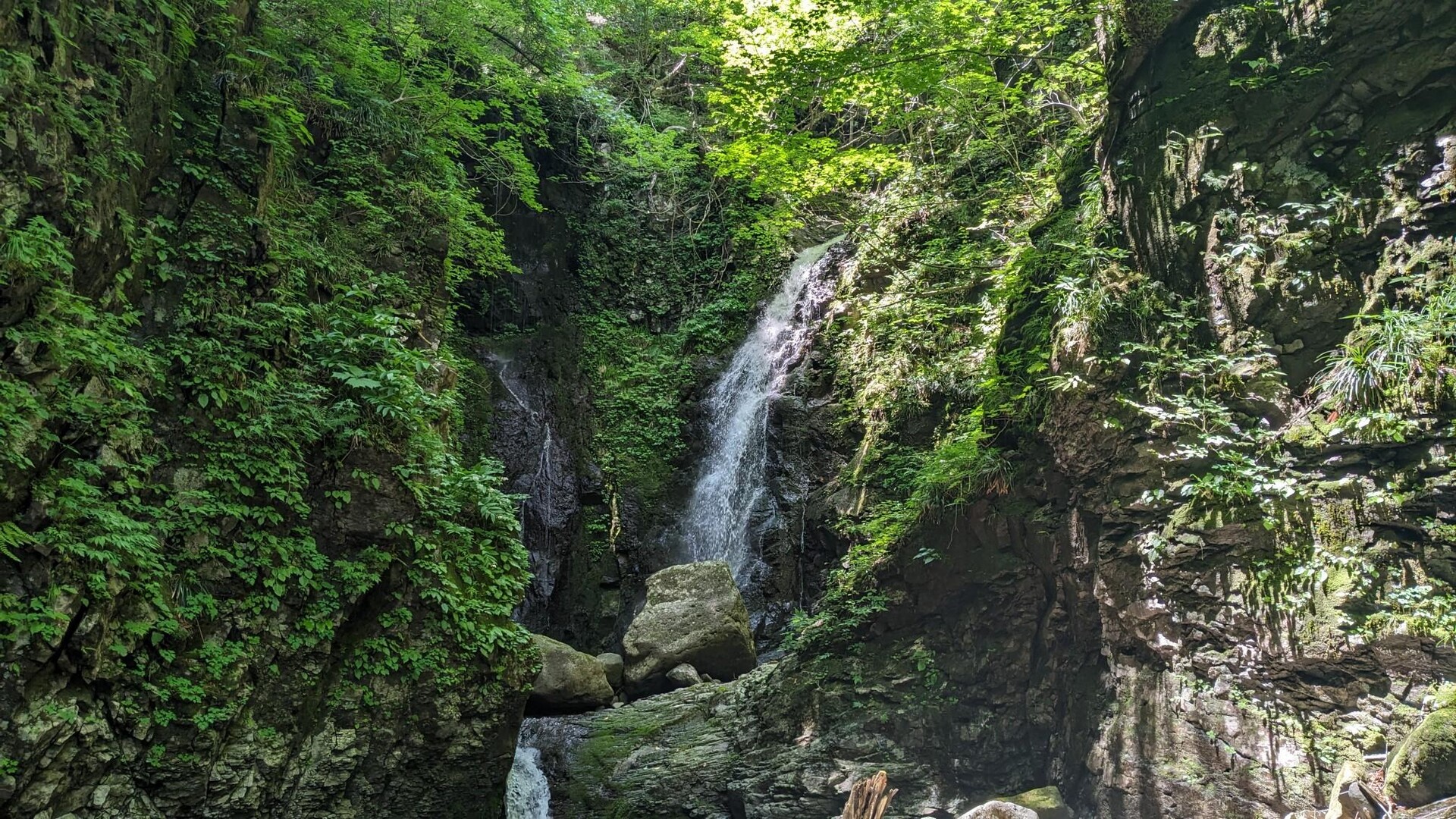 尚仁沢（しょうじんざわ）・権現沢（ごんげんざわ）遡行 / kkr173さんの高原山・釈迦ヶ岳・鶏頂山の活動データ | YAMAP / ヤマップ