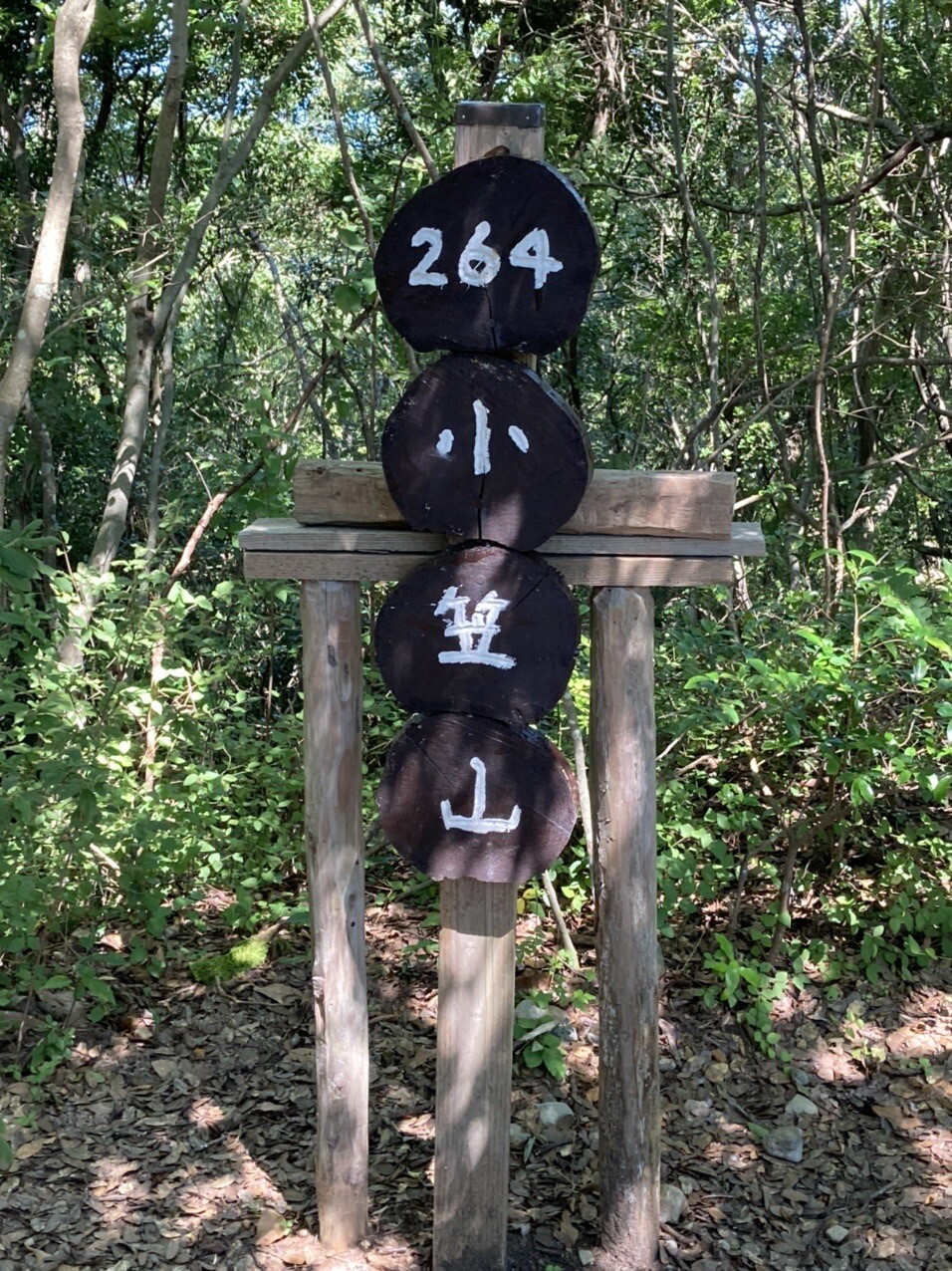 小笠山 / yy.taroさんの小笠山の活動データ | YAMAP / ヤマップ