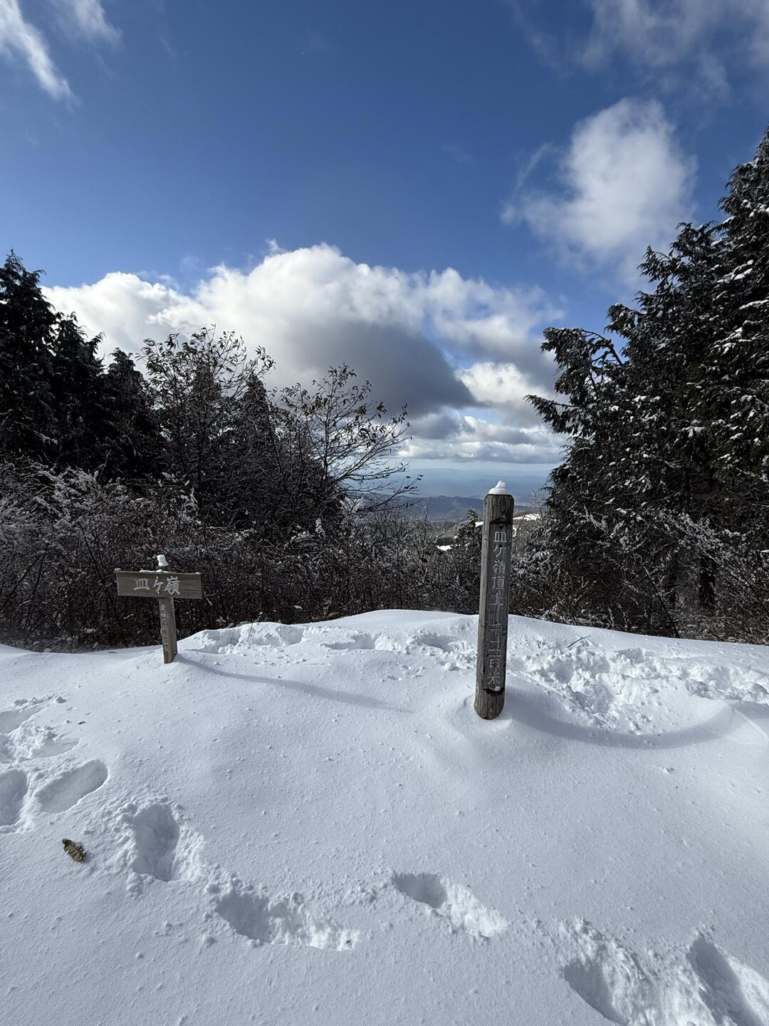 皿ヶ嶺 / yu.taさんの皿ヶ嶺・梅ヶ谷山・うなめごの活動データ | YAMAP / ヤマップ