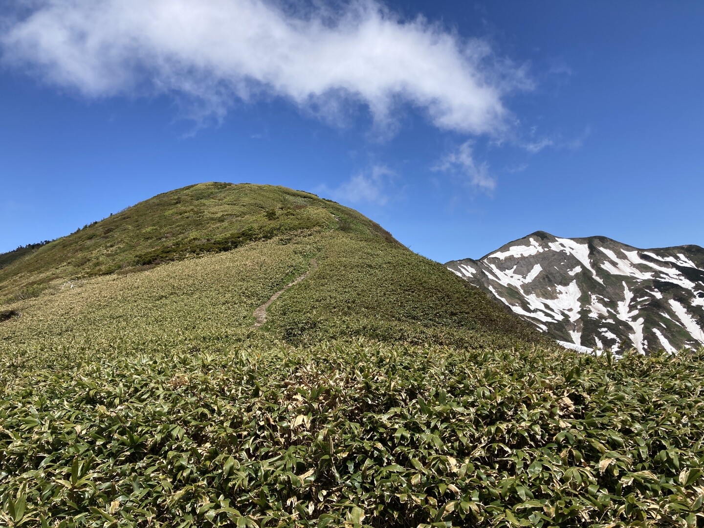 越前三ノ峰・三ノ峰（上小池） / mi_chicoさんの白山・別山・銚子ヶ峰の活動データ | YAMAP / ヤマップ