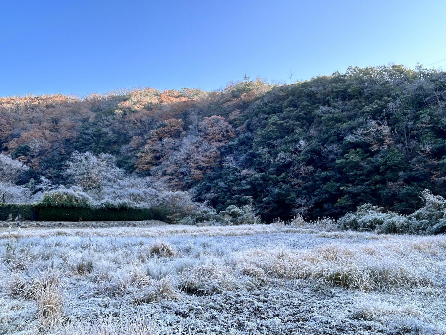 西大岩ヶ岳・大岩ヶ岳・東大岩ヶ岳・丸山 / akemiさんの大岩ヶ岳の活動データ | YAMAP / ヤマップ