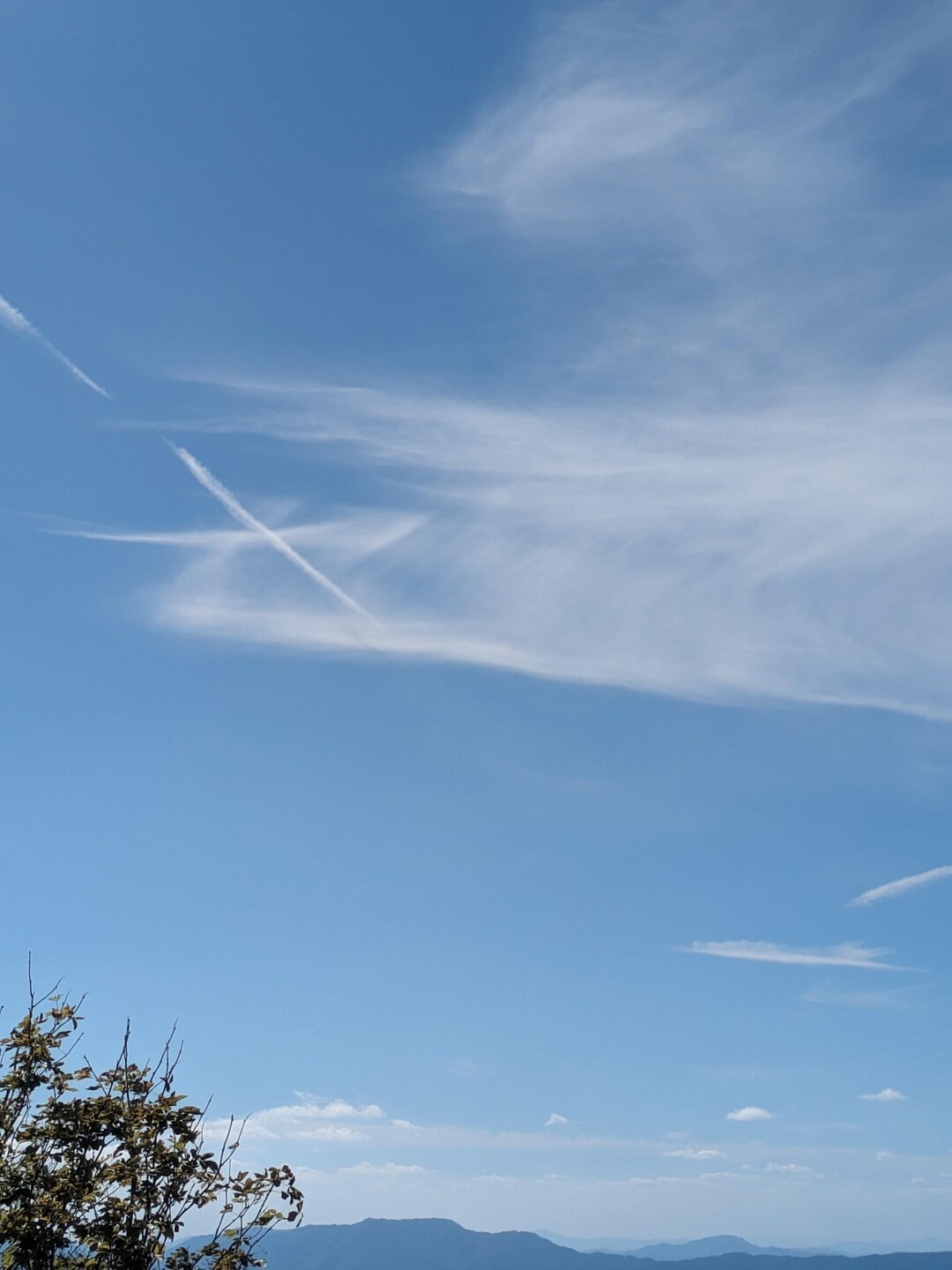 香仙原〜赤土山〜安蔵寺山 / jonasanさんの安蔵寺山・燕岳の活動データ | YAMAP / ヤマップ