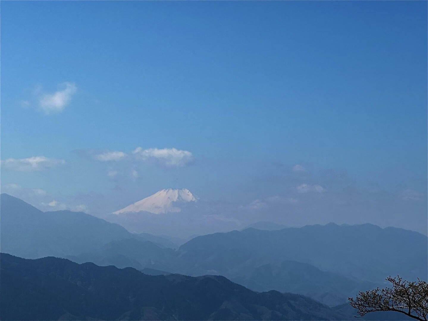 高尾山6号路〜1号路 / Kozueさんの高尾山・陣馬山・景信山の活動データ | YAMAP / ヤマップ