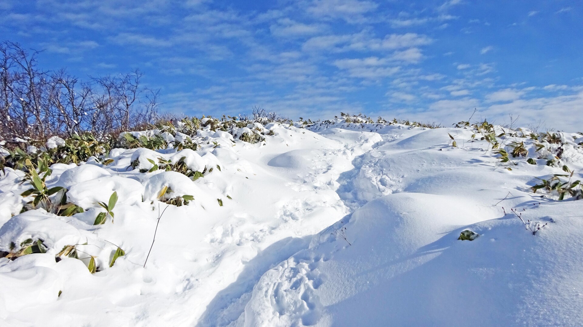 200,000mの頂⛰️飯縄山 / Paulさんの飯縄山の活動データ | YAMAP / ヤマップ