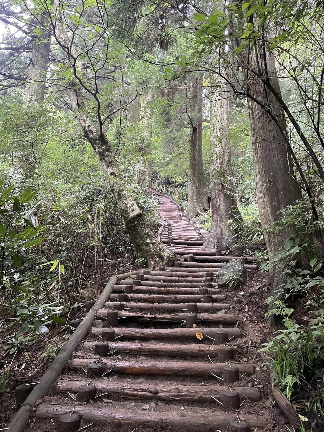 筑波山（女体山） / heeさんの筑波山の活動データ | YAMAP / ヤマップ