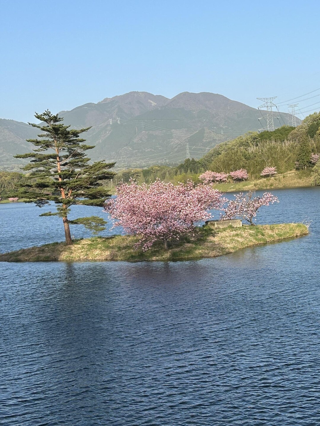 仕事合間に日野川ダムへ！2024-04-19 / ☆miko☆さんのウォーキングの活動日記 | YAMAP / ヤマップ