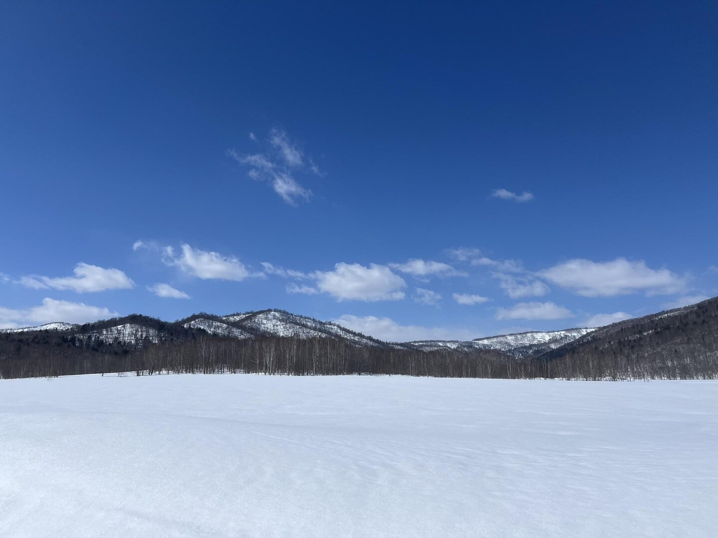 幌内山 / maya-mayaさんの丸山・三面山・シラッケ山の活動データ | YAMAP / ヤマップ