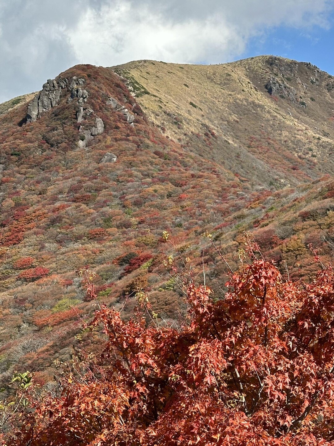 今年も久住の紅葉🍁見たい🚶‍♀️🚶... / やまぴーさんのモーメント | YAMAP / ヤマップ