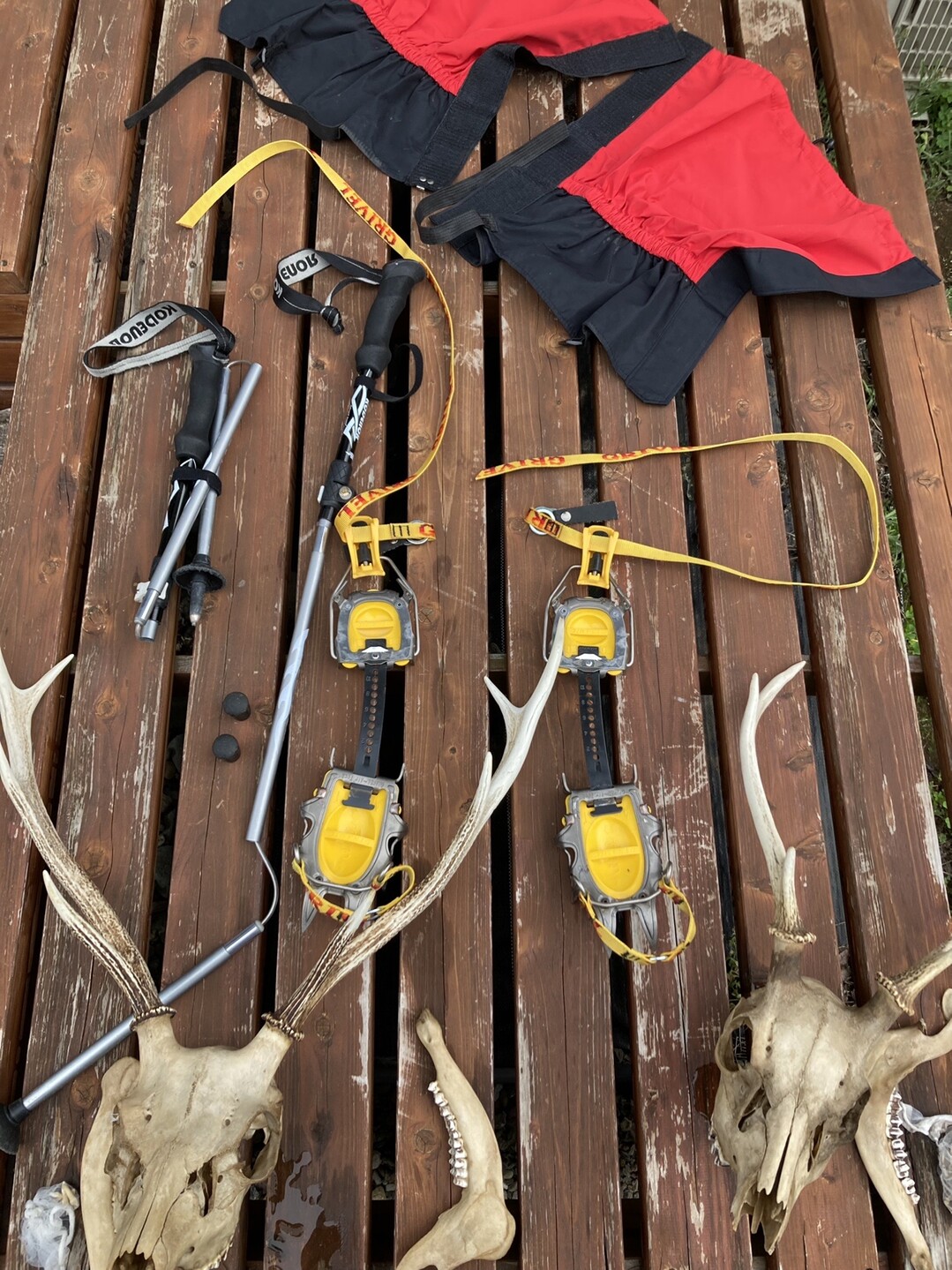 GW最終日は収穫物と道具のメンテ( ´･... / たちぐいさんのモーメント | YAMAP / ヤマップ