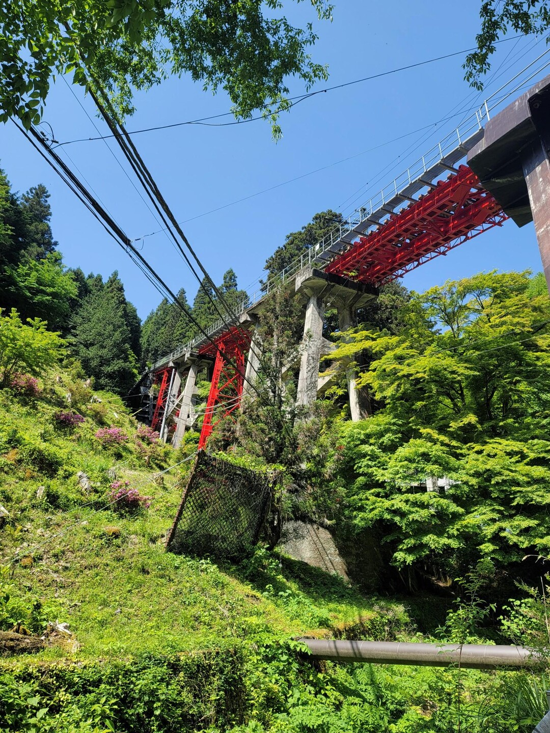 祝🍑岡山会初登山！at 御岳山 ～上級者からヌン活を教わる～ / awaさんの御岳山・駒見山の活動データ | YAMAP / ヤマップ