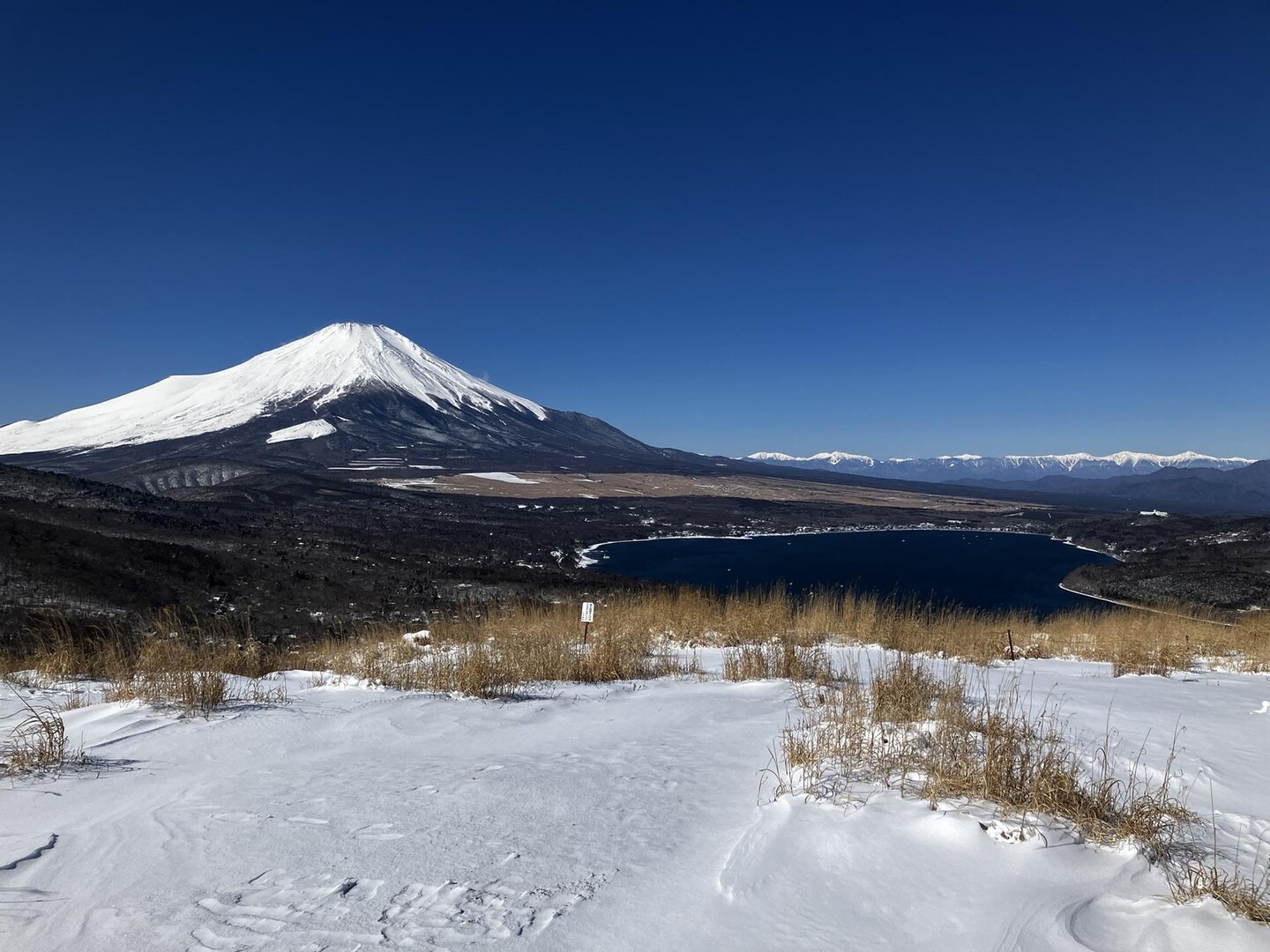 鉄砲木ノ頭(明神山) / 727Kさんの三国山・大洞山・不老山の活動データ | YAMAP / ヤマップ