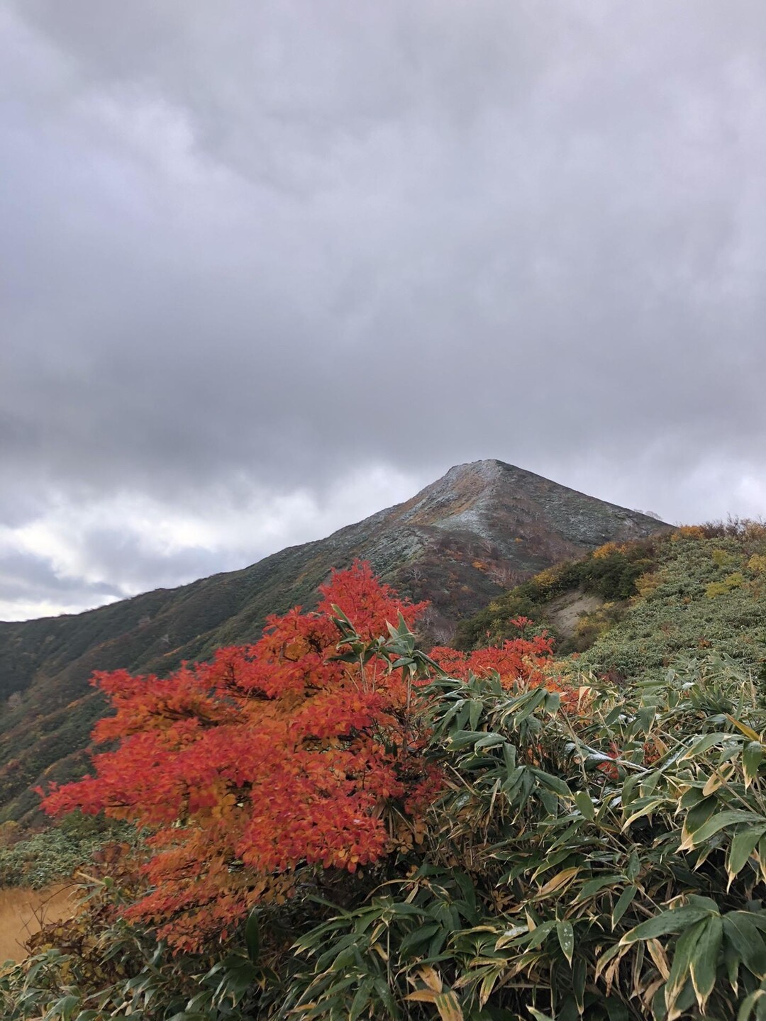 大朝日岳〜紅葉と雪 / TAJIさんの大朝日岳・朝日連峰・祝瓶山の活動データ | YAMAP / ヤマップ