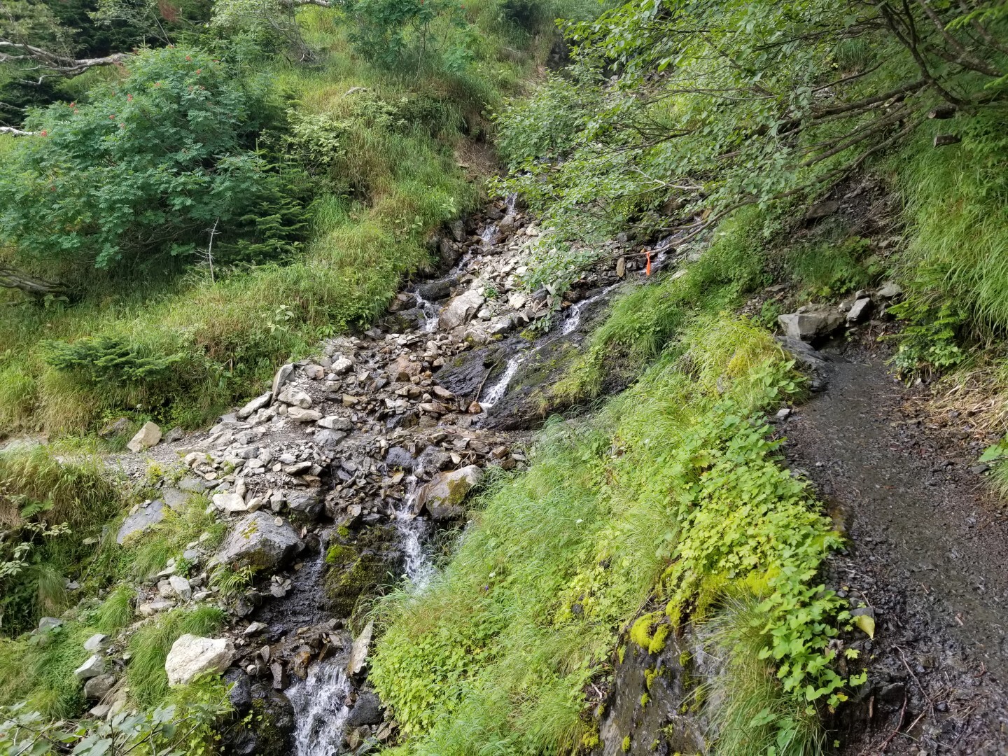 tako2019さんの投稿したフィールドメモ | YAMAP / ヤマップ