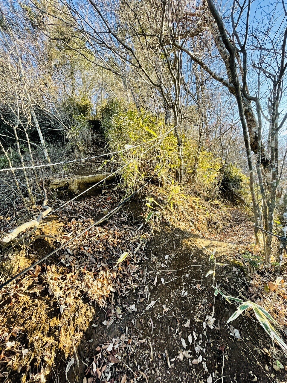 otouさんの投稿したフィールドメモ | YAMAP / ヤマップ