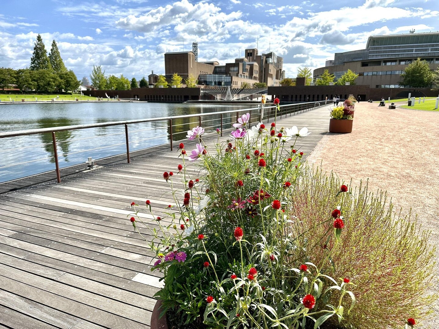 ツァー催行中止で富山散策 ️ / Beniさんのウォーキングの活動データ | YAMAP / ヤマップ